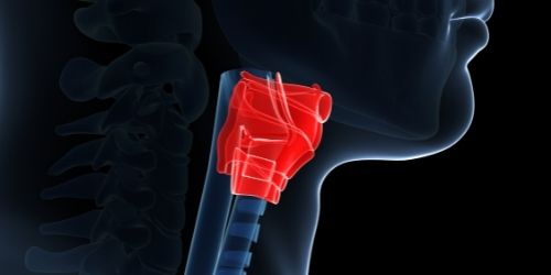 Exames e Diagnósticos – IAD – Instituto do Aparelho Digestivo